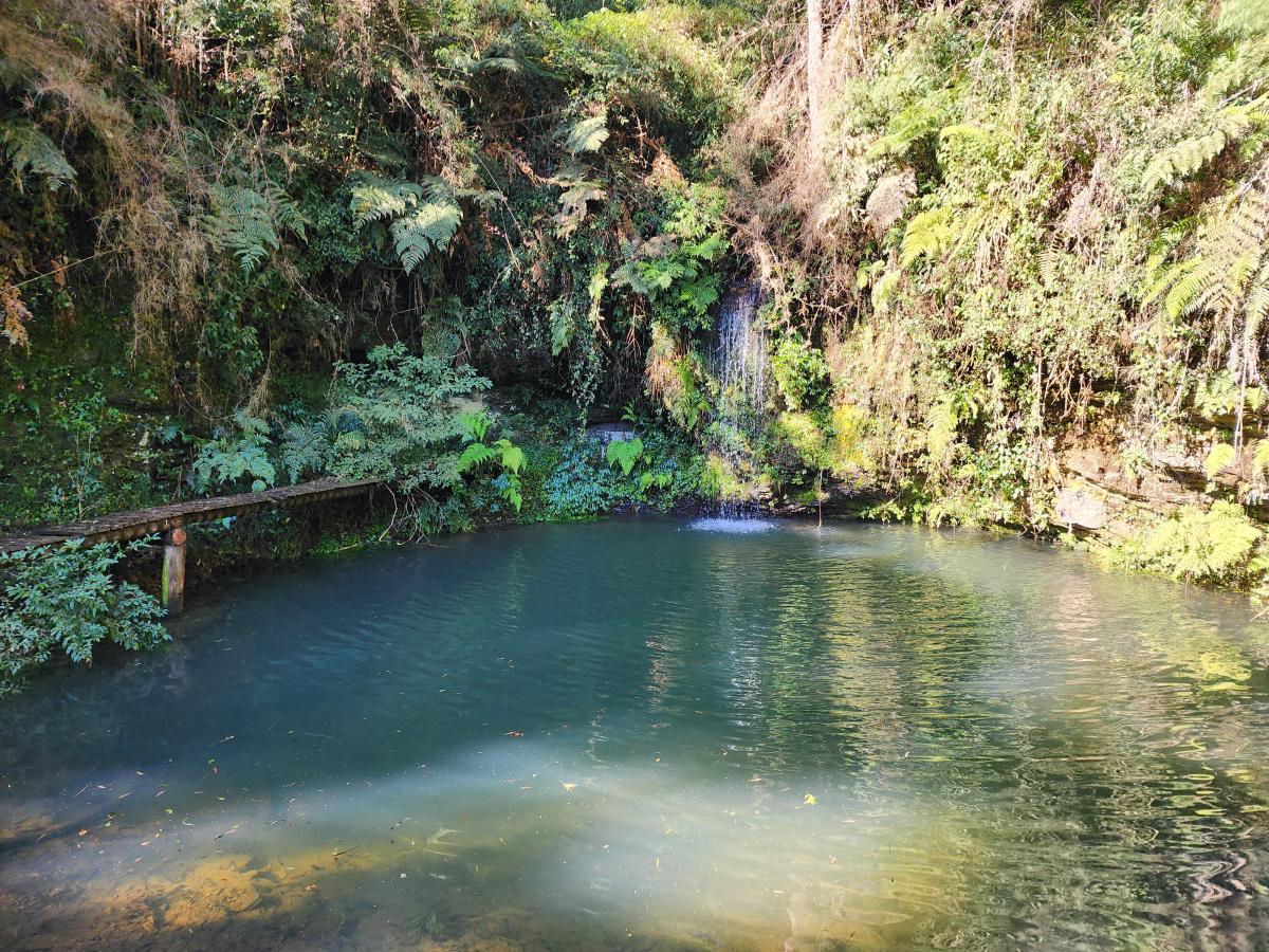 Sítio para moradia e turismo Rural na Serra Catarinense.